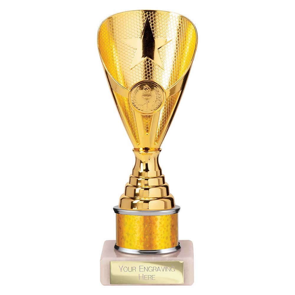 Rising Stars Plastic Trophy Gold – All Sports Trophies